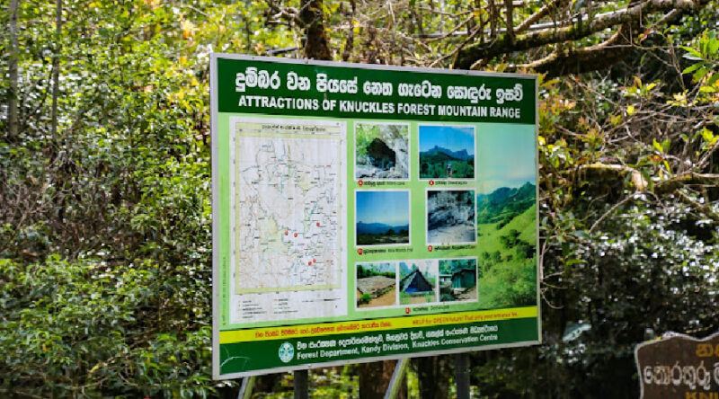 Knuckles Mountains | 34 bergtoppen | veelzijdig Sri Lanka